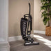 Kirby Avalir Platinum Vacuum Cleaner - The Kirby Company